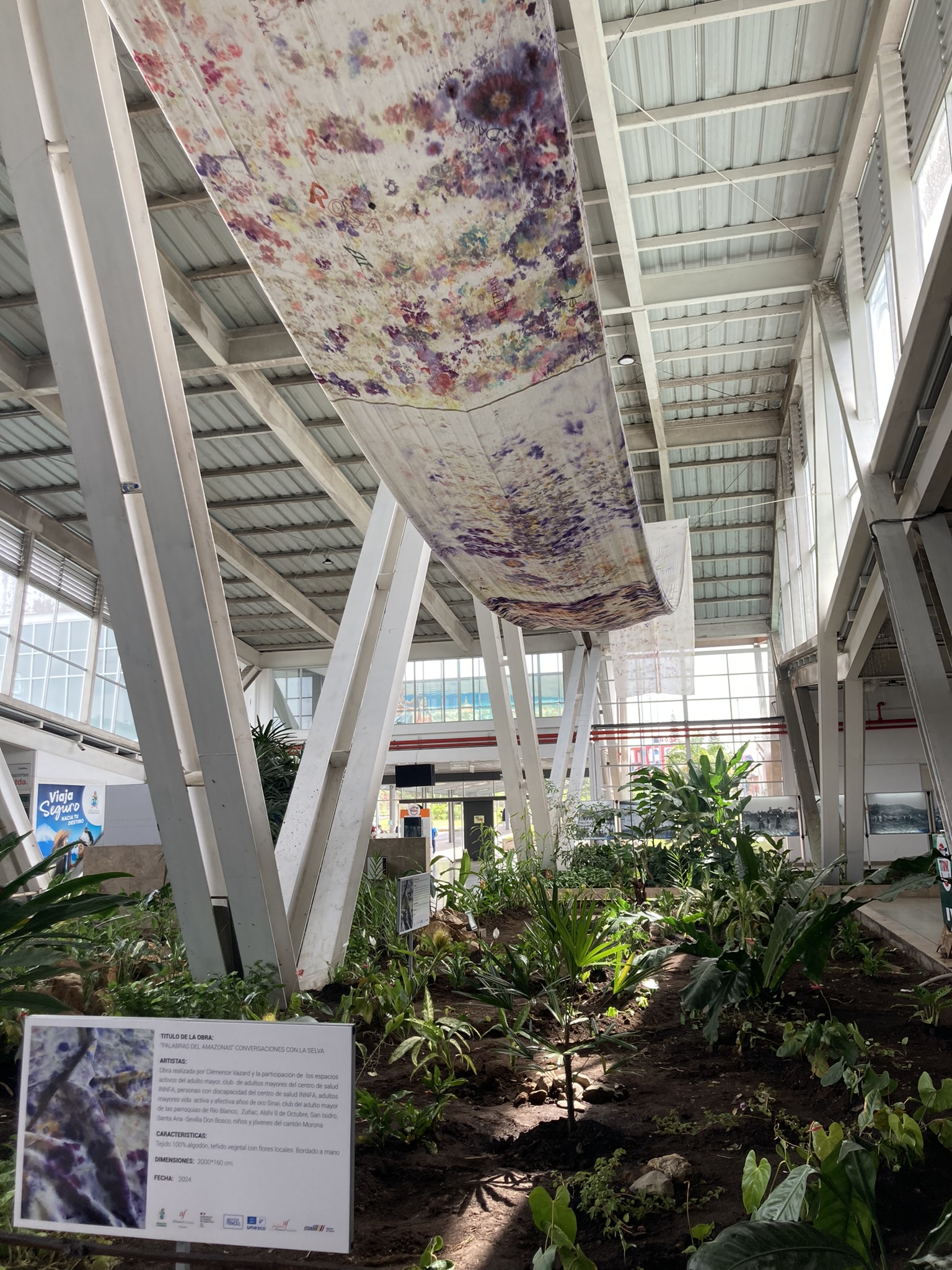 [ÉCORESPONSABILITÉ] "Paroles de l’Amazonie, conversations avec la forêt ...