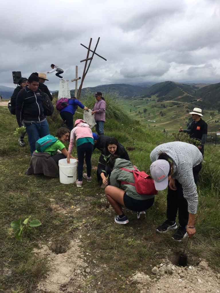 Équateur : Alliance Française de Cuenca - "Reforestation pour la ...